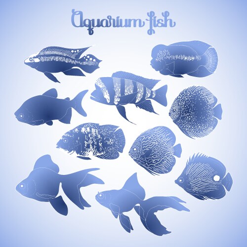 Different types of fish blackmonochrome icons Vector Image