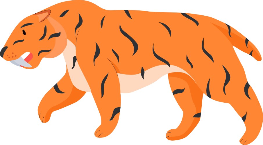 Tiger Tooth Vector Images (over 570)