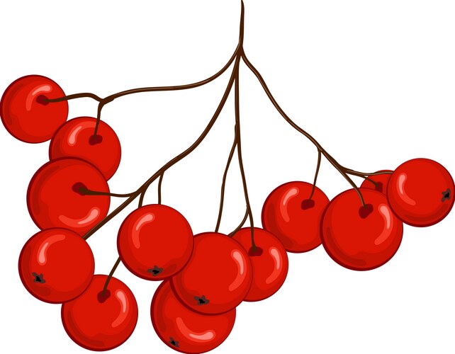 Raspberry icon flat berry Royalty Free Vector Image