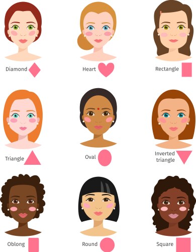 Face Shape Types Royalty Free Vector Image - VectorStock