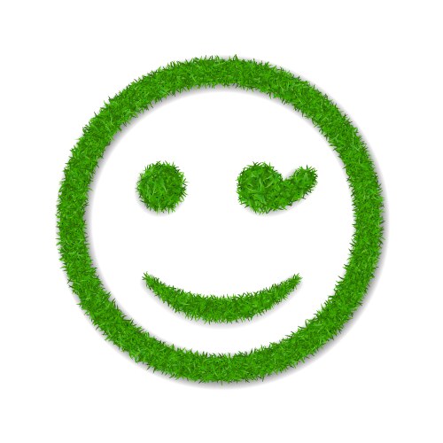 Green grass face smile smiley grassy icon Vector Image