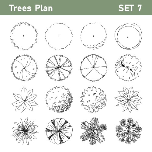 Tree Plan Illustrator Vector Images (over 5,100)