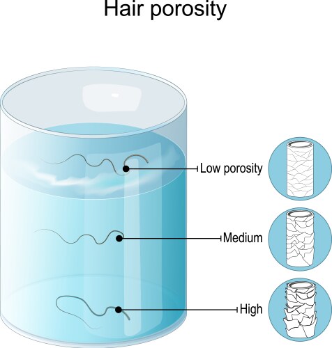 Hair porosity water float test infographics poster