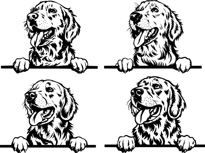 Golden Retriever Vector Images (over 4,000)