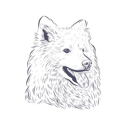 Samoyed Vector Images (over 420)