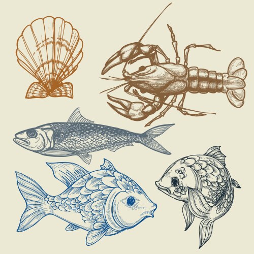 Fish Line Drawing Vector Images (over 36,000)
