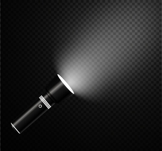 Flashlight on a transparent background Royalty Free Vector
