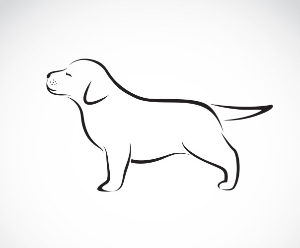 Labrador Vector Images (over 12,000)