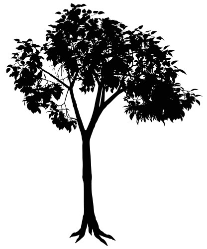Maple tree silhouette Royalty Free Vector Image