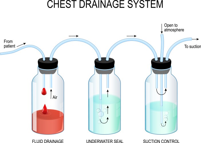 Drainage System Vector Images (over 3,600)