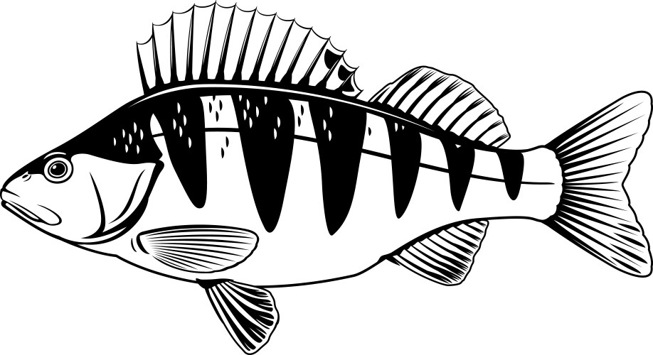 Fish Vector Images (over 470,000)