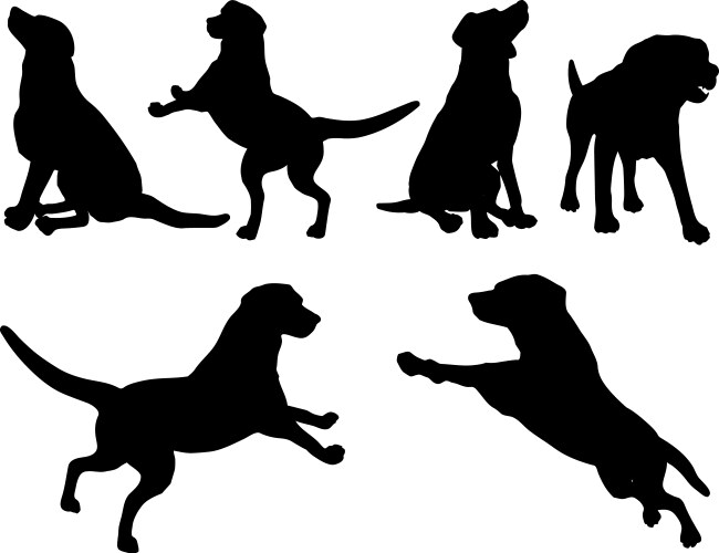 Dog Vector Images (over 440,000)