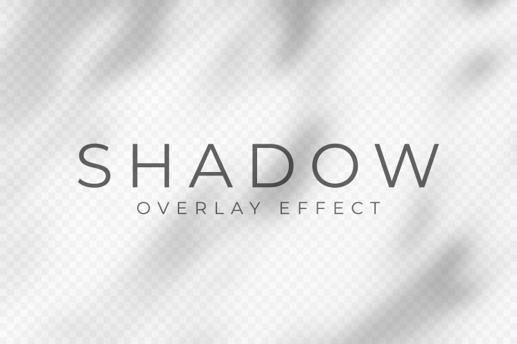 Shadow strips realistic lines overlay effect set Vector Image