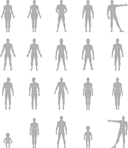 Body Outline Front Back Vector Images (over 10,000)