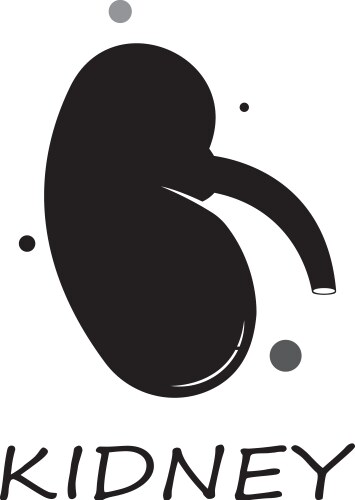 Kidney logo Royalty Free Vector Image - VectorStock