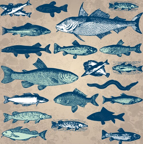 Fish Vector Images (over 530,000)