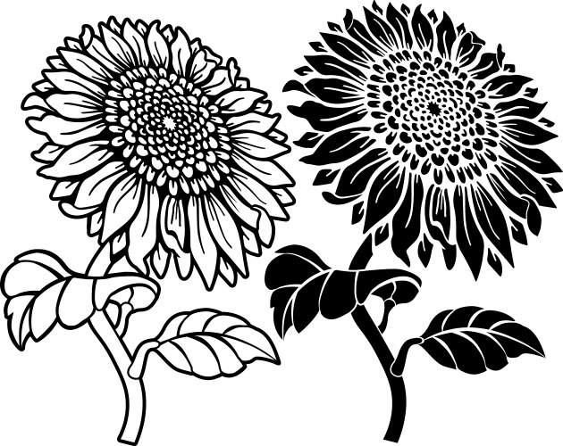 Sunflower Outline Vector Images (over 12,000)