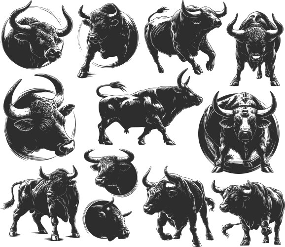 Bull Drawing Vector Images (over 21,000)