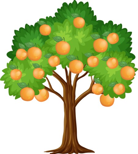 Orange fruit tree in cartoon style isolated Vector Image