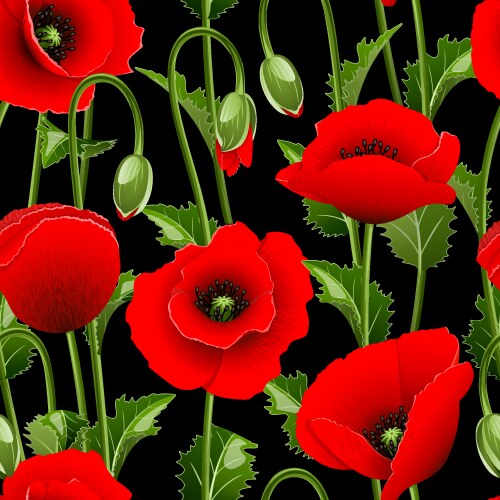 Poppies Vector Images (over 24,000)
