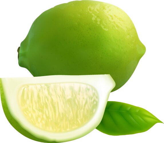 Lime Vector Images (over 220,000)