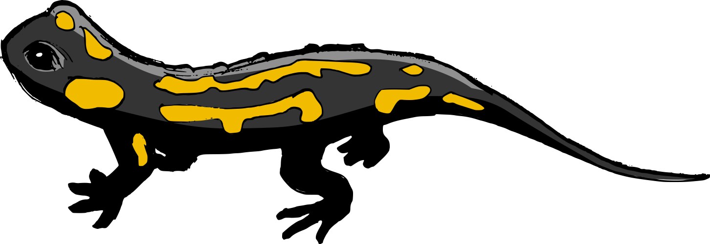 Cartoon happy salamander Royalty Free Vector Image