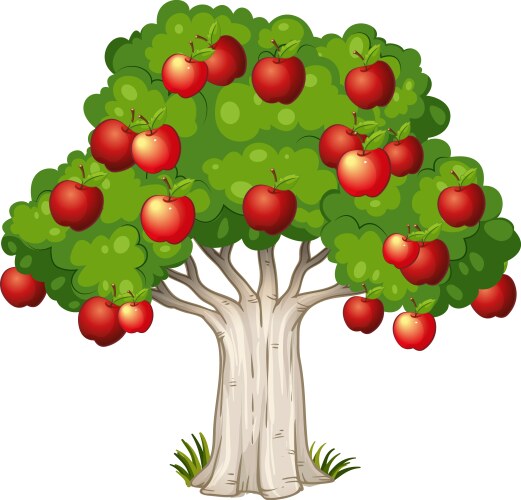 Apple tree on white background Royalty Free Vector Image
