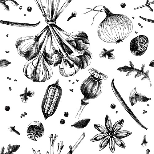 Hand drawn background with herbs and spices Vector Image