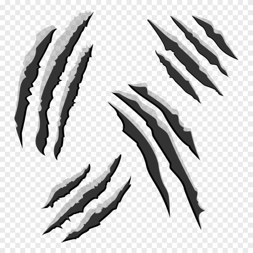 Claw Transparent Vector Images (over 870)