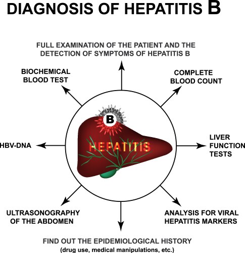 Hepatitis B Vector Images within Science (90)