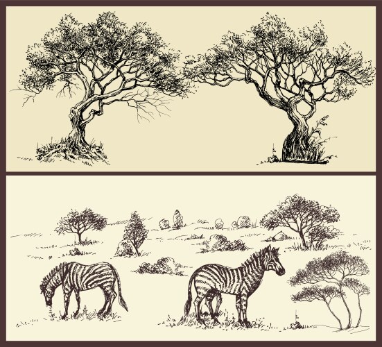 Savanna Vector Images (over 14,000)