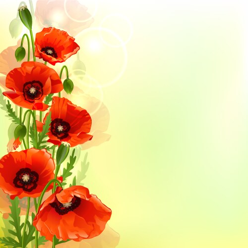 Poppy Border Vector Images (over 2,300)