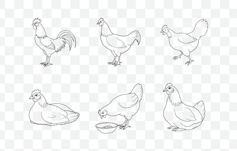 Hen Vector Images (over 44,000)