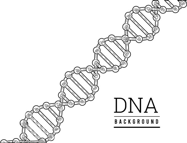 Graphic dna structure Royalty Free Vector Image