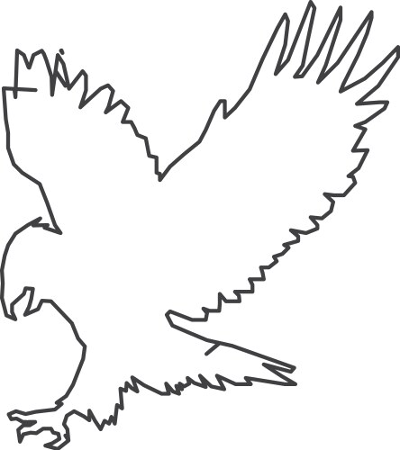 Bird prey eagle hawk falcon Royalty Free Vector Image