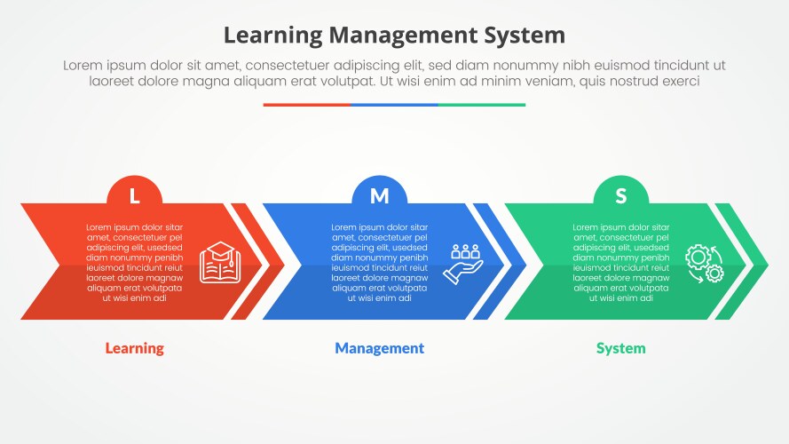 Lms learning management system infographic Vector Image