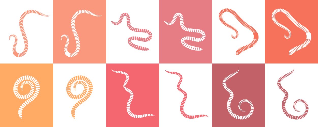 Worm Royalty Free Vector Image - VectorStock