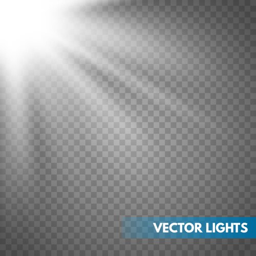 Glowing sunlight a transparent background Vector Image