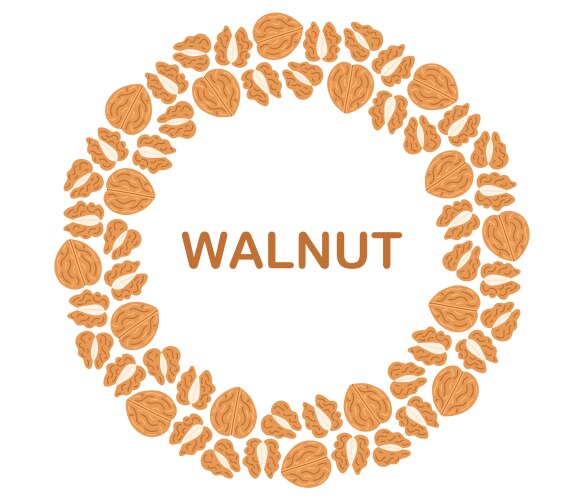 Nuts circle frame round pistachio border flat Vector Image