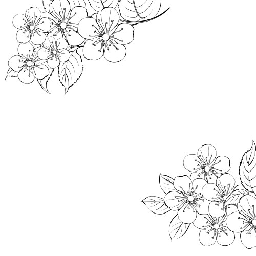 Calligraphy cherry blossom cute hand drawn Vector Image