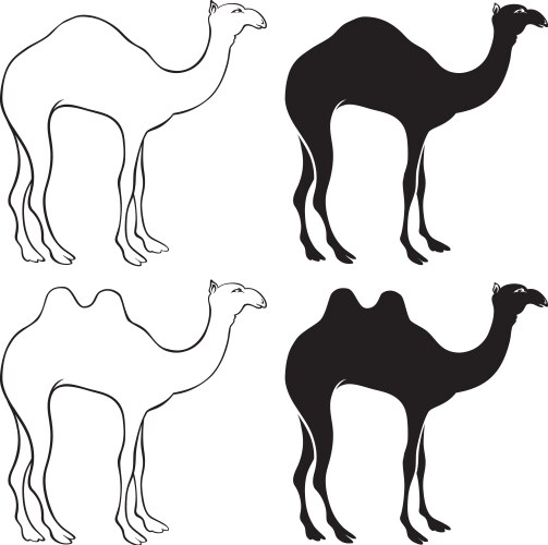 Camel Vector Images (over 19,000)