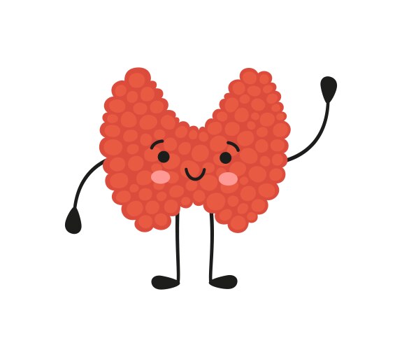 Pancreas kawaii healthy character with smile Vector Image