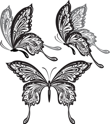 Decorative sketch butterflies Royalty Free Vector Image