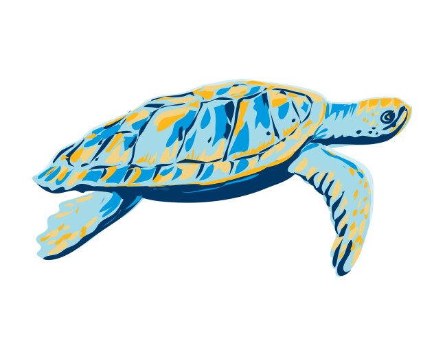 Sea turtle realistic artistic colored drawing Vector Image