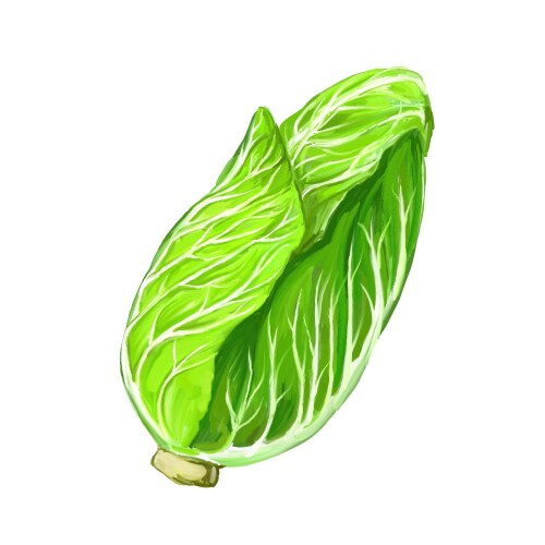 Pe Vector Images (over 4,400)