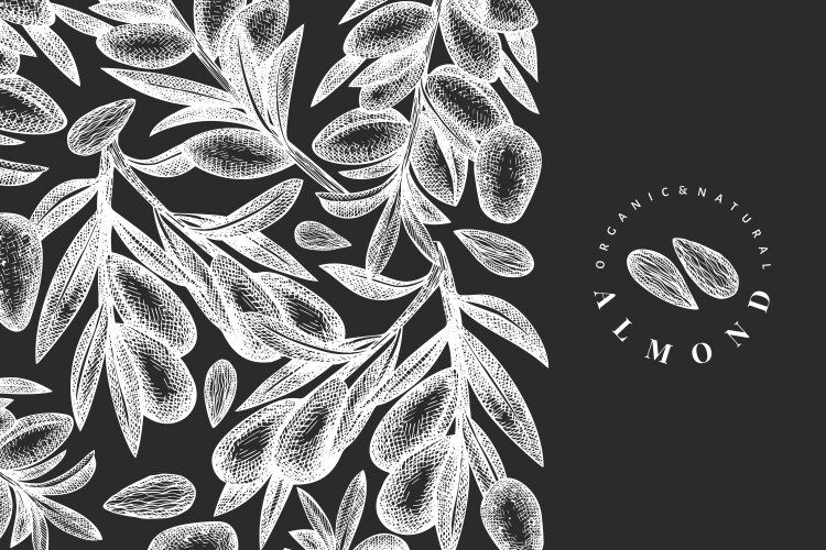 Almond tree design template branch hand Royalty Free Vector