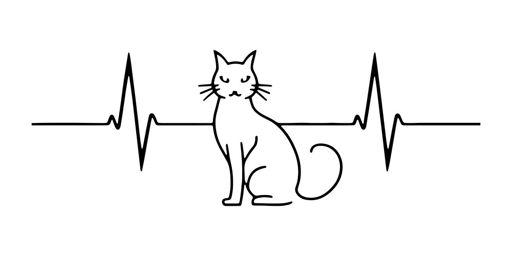 Heart Rate Vector Images (over 35,000)