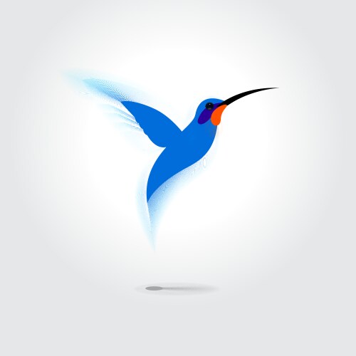 Hummingbird Vector Images (over 10,000)