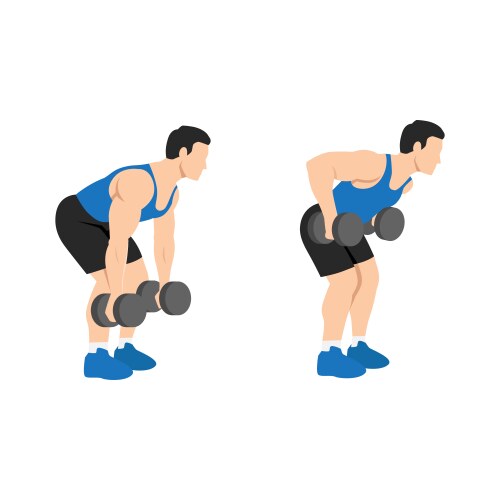 Man doing trx suspension strap rows Royalty Free Vector