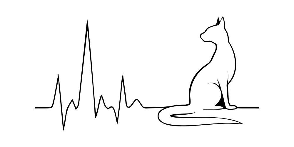 Heart Rate Vector Images (over 35,000)